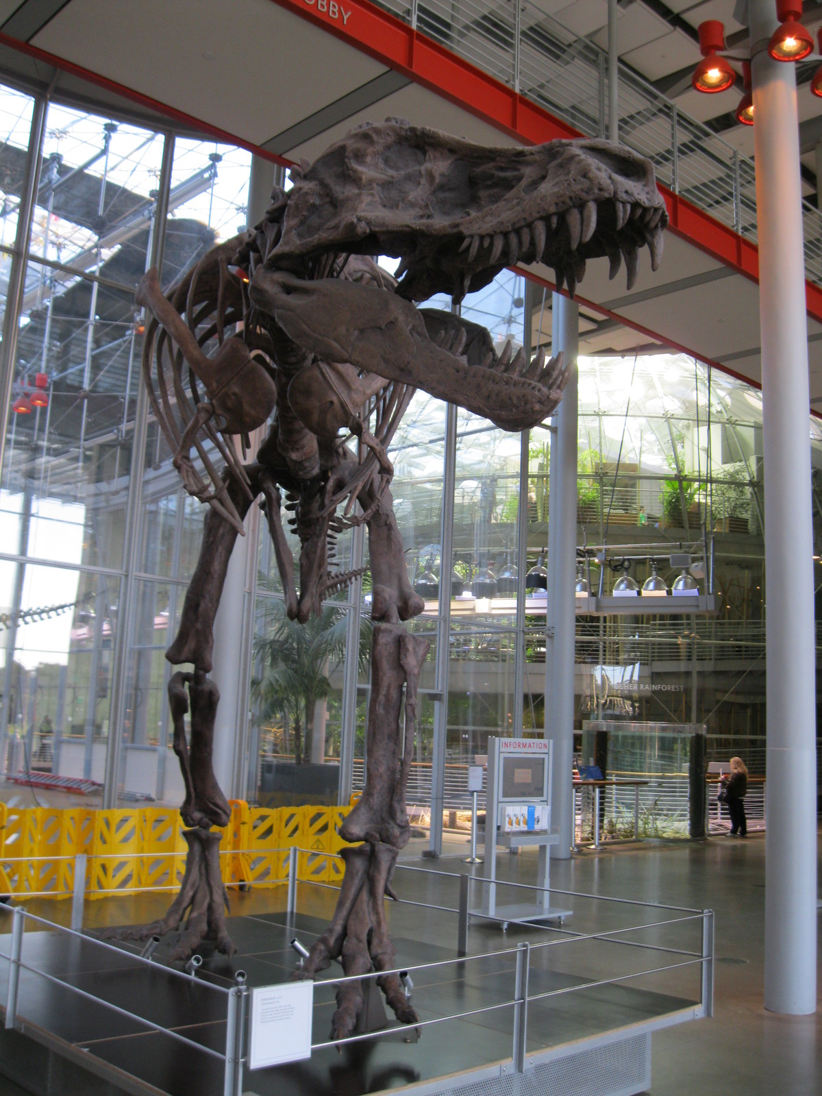 dan.mindfill.com - Academy of Sciences