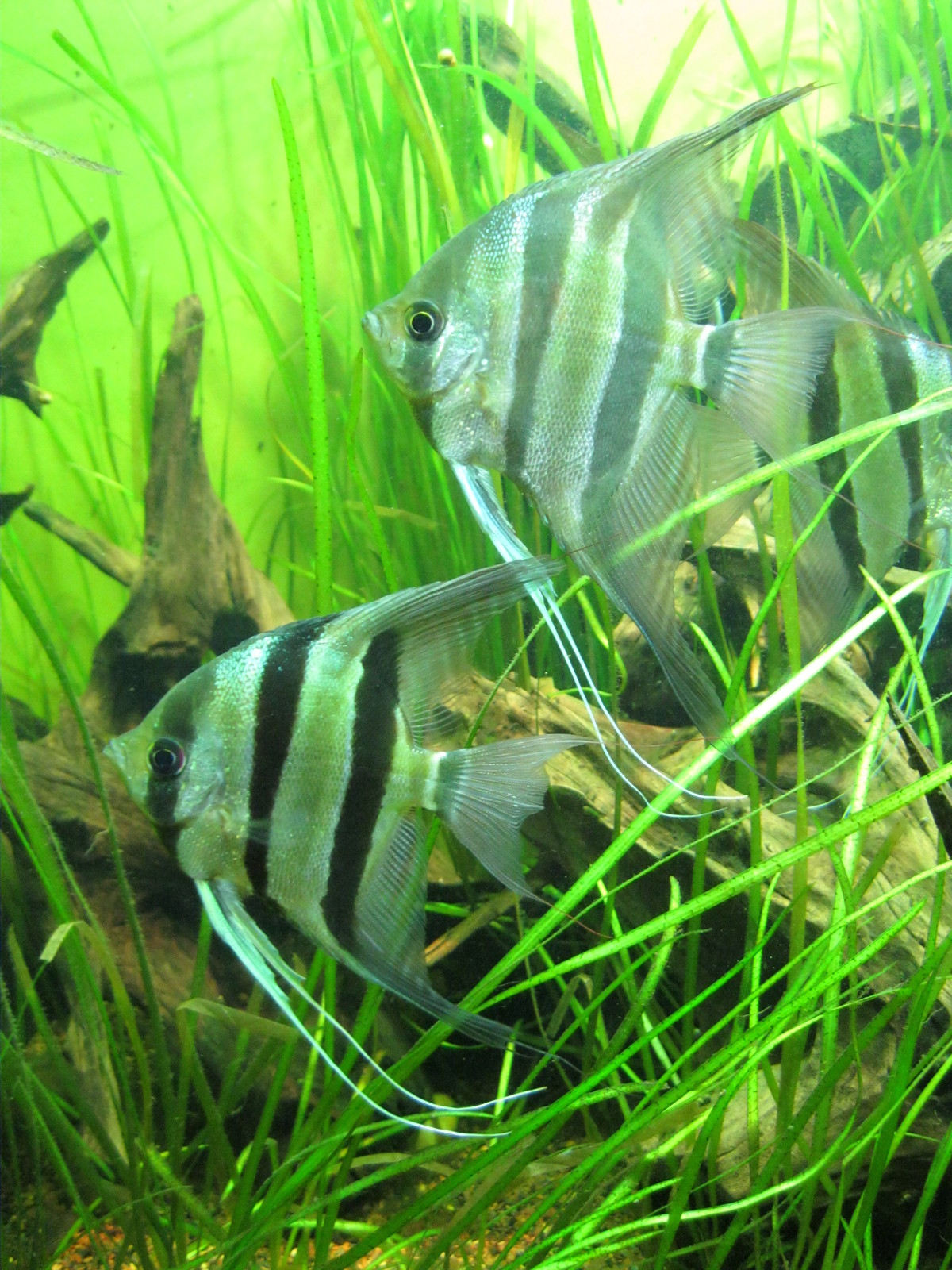 dan.mindfill.com - Academy of Sciences