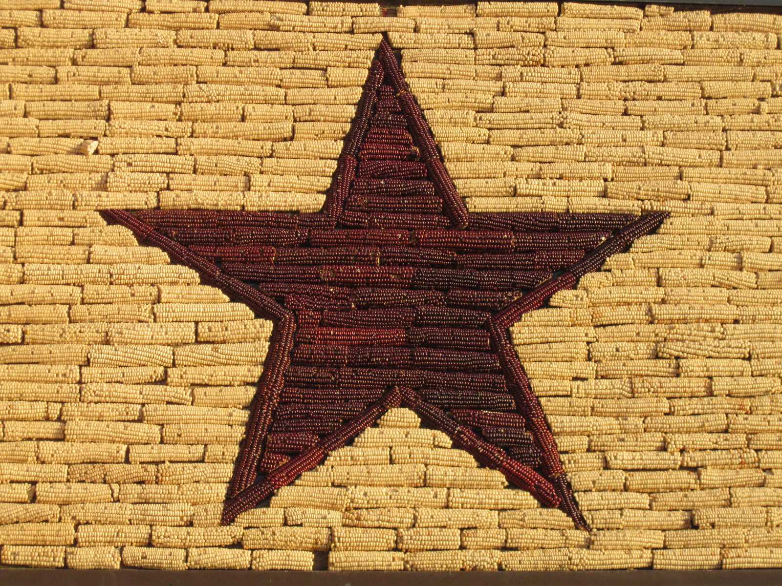 dan.mindfill.com - Montanza